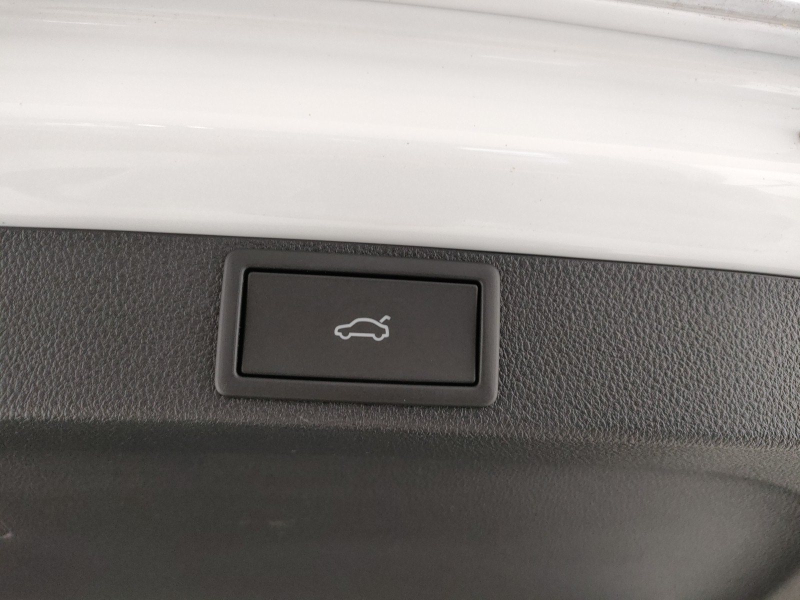 Skoda Octavia Usato 2024 Legnago | Gruppo Move 10536431